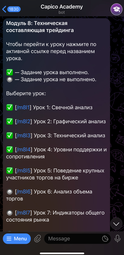 Академия Capico