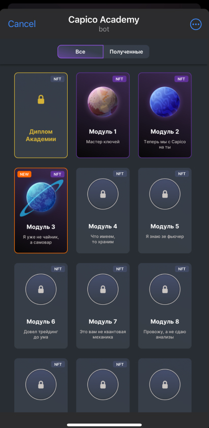 Академия Capico